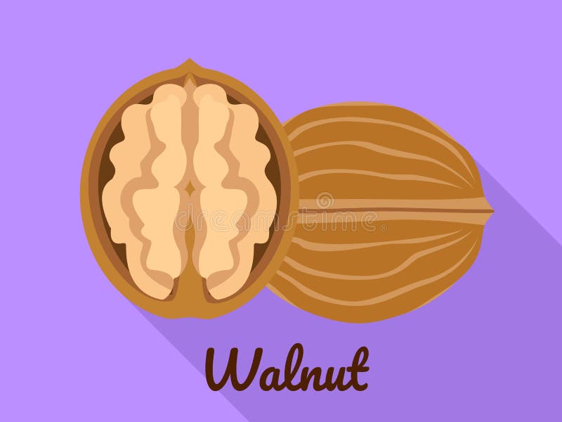 Walnut icon, flat style stock vector. Illustration of kernel - 138333601