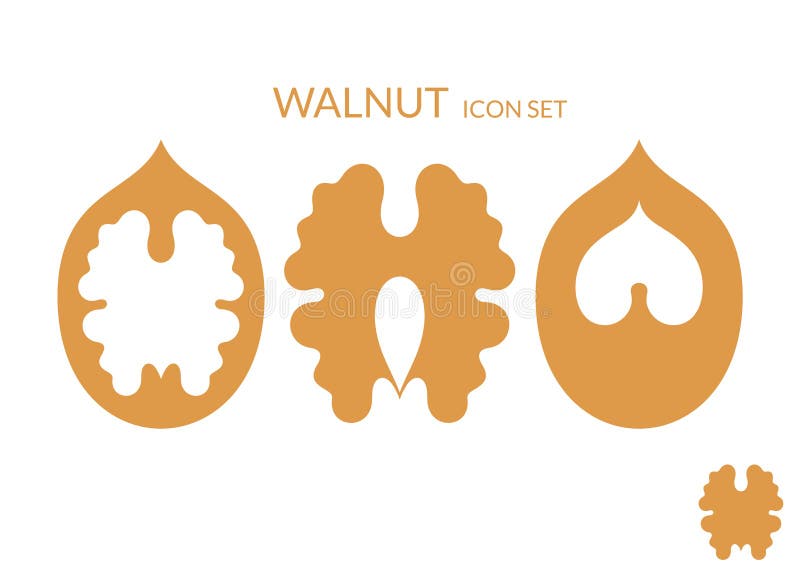 Walnut. Icon set stock vector. Illustration of vector - 63144050