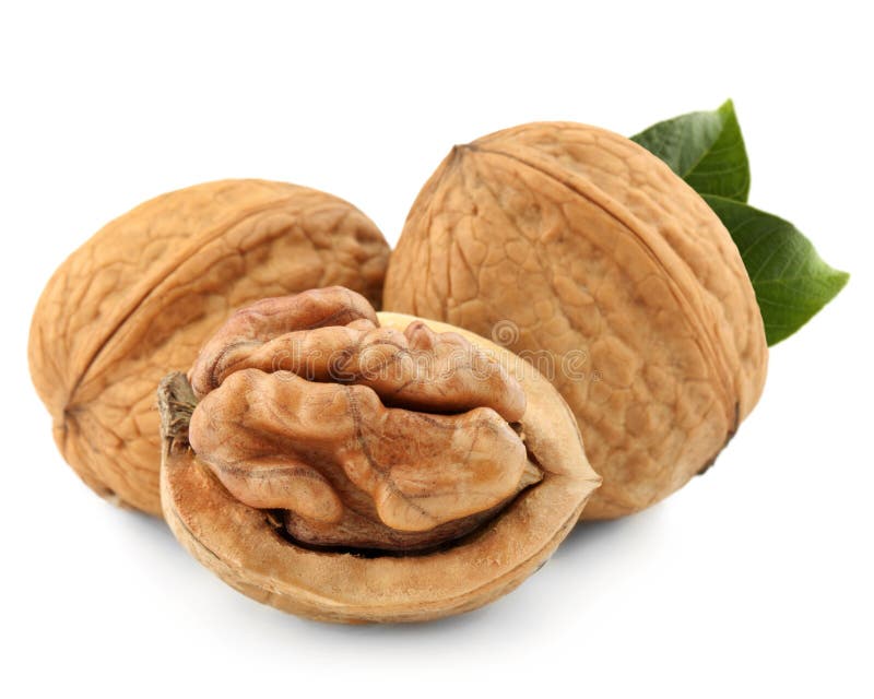 Walnut isolated stock image. Image of snack, isolated - 30958161
