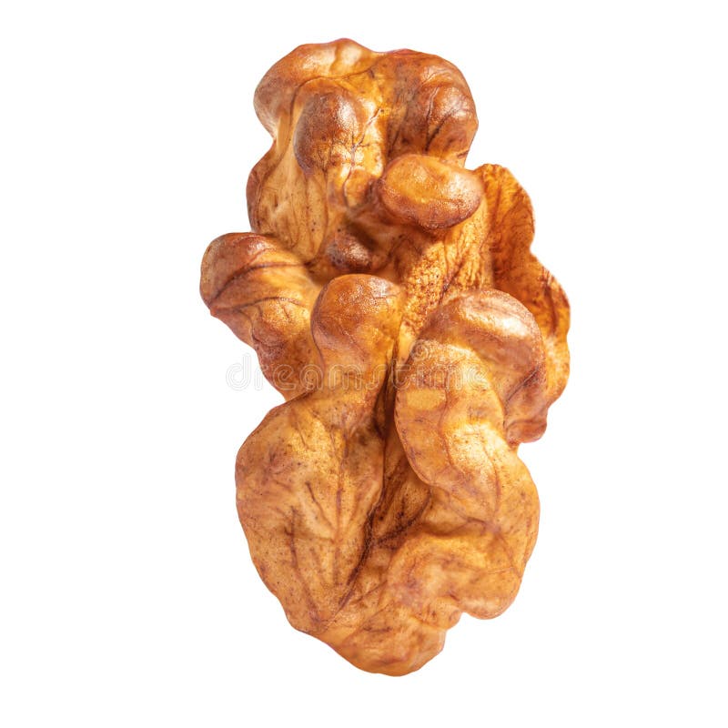 Walnut Isolated. Walnut Kernel Nut on White Background Stock Image ...