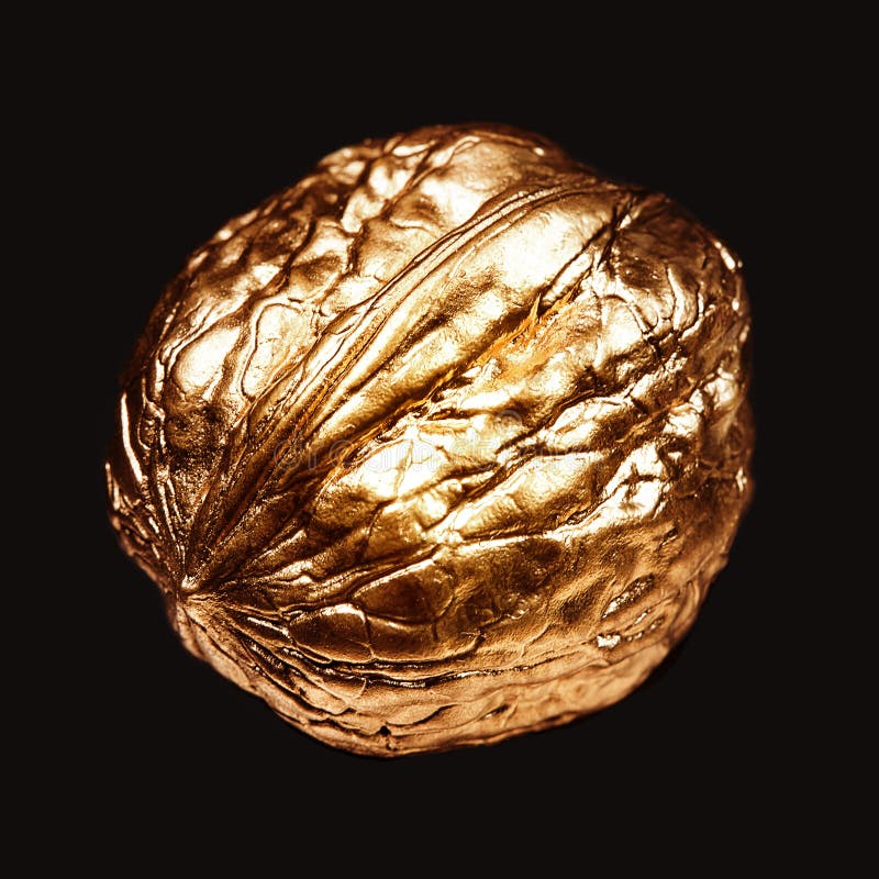 Large Black Walnut Tree Stock Photos - Free & Royalty-Free Stock Photos ...