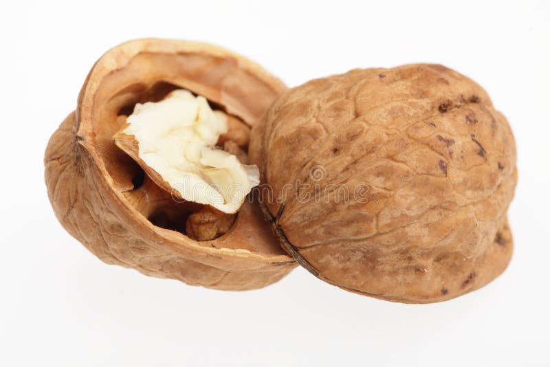 Walnut Isolated on White Background Stock Image - Image of walnut, fall ...