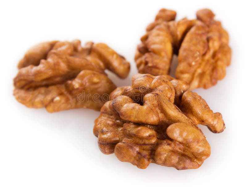 Green walnut stock photo. Image of branches, summer, close - 1043226