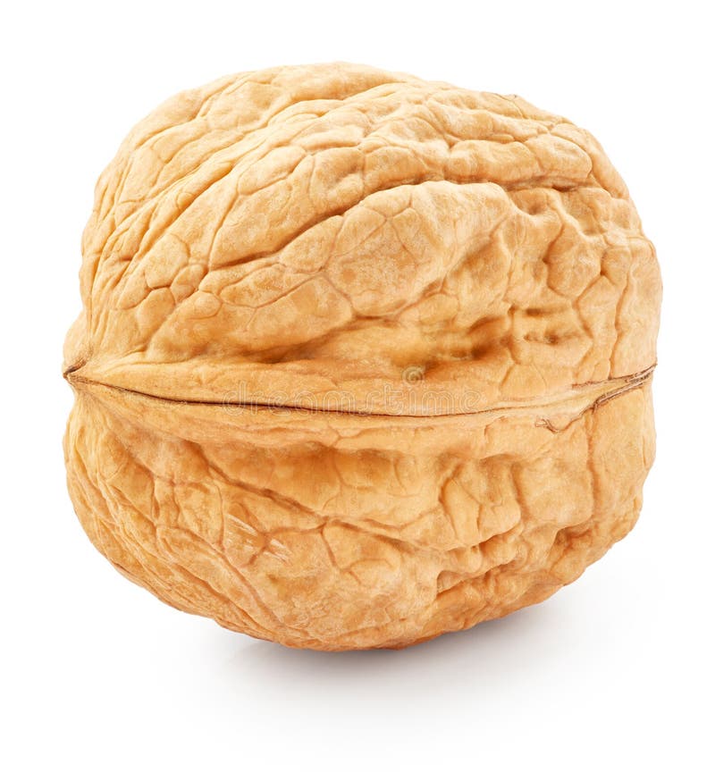 Walnut stock image. Image of healthy, natural, kernel - 68609593