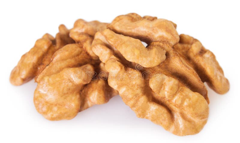 Walnut on white background stock image. Image of walnut - 130149963