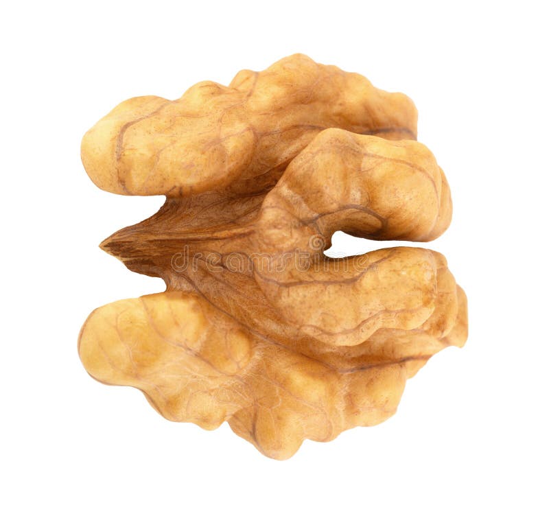 Walnut Kernel Isolated on White Background Stock Photo - Image of ...