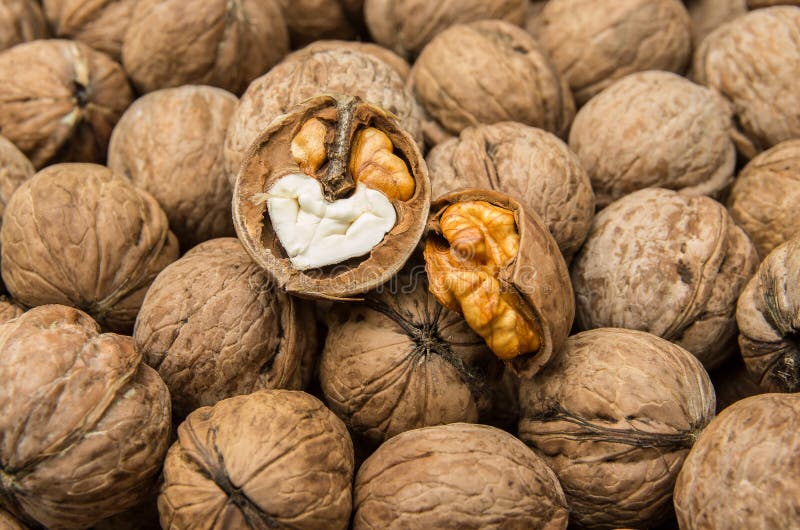 Walnut Kernels and Whole Walnuts. Stock Image - Image of lifestyle ...