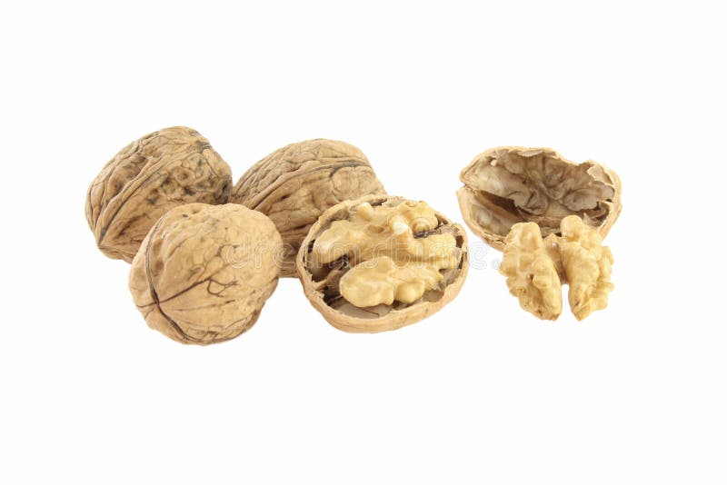 Kernel and Whole Walnut Isolated on White Background. High in Protein ...