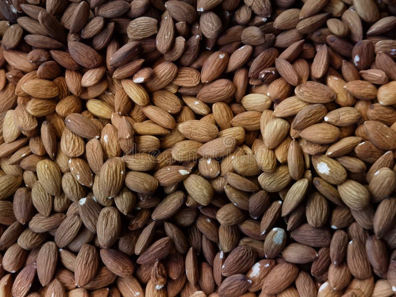 Walnut Kernels in Bulk but Isolated Stock Image - Image of isolated ...