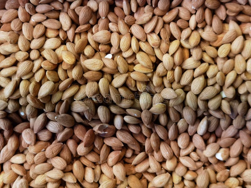 Walnut Kernels in Bulk but Isolated Stock Photo - Image of open ...