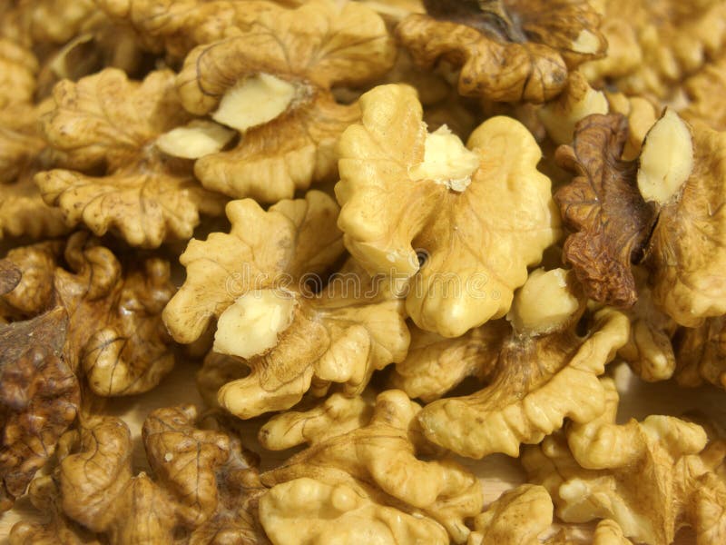 Walnut kernels stock image. Image of closeup, fresh, snack - 49804347