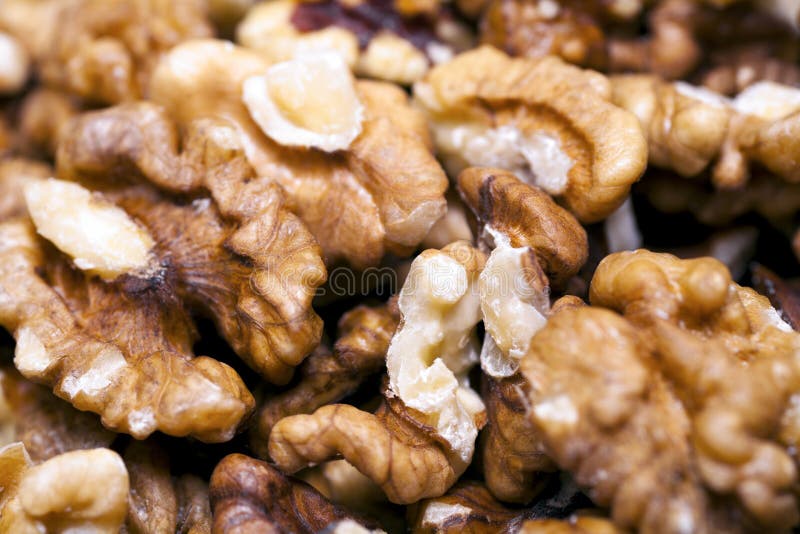 Walnut kernels stock image. Image of full, kernel, organic - 67713861
