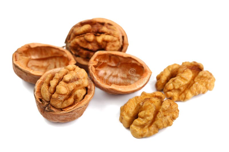 Walnut kernels stock photo. Image of macro, organic, isolated - 60340946