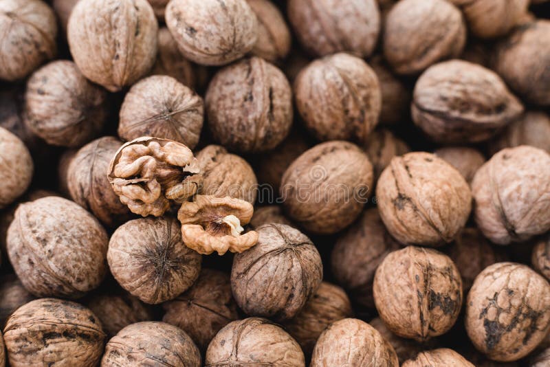 Walnut Kernels on Natural Walnut Pattern Background, Raw Bio Walnuts ...