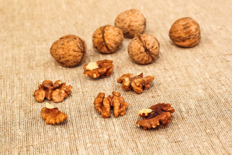 Walnut Kernels and Whole Walnuts Stock Image - Image of arabian, eating ...