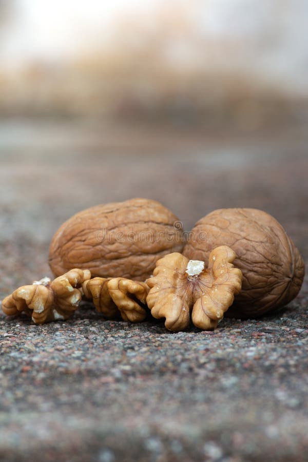 Walnut Kernels and Whole Walnuts Stock Photo - Image of healthy ...