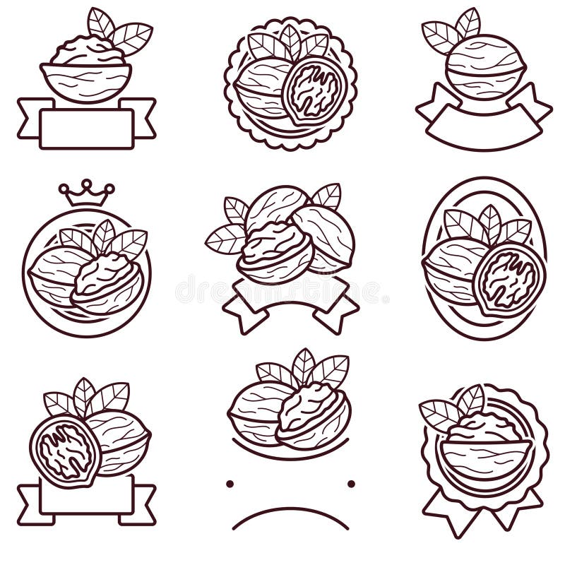 Walnut Label and Icon Set. Collection Icon Walnut Stock Photo - Image ...