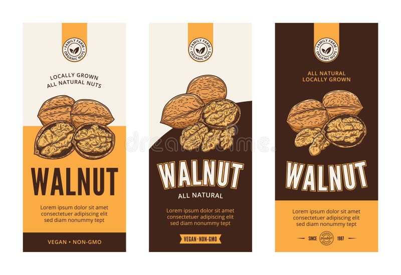 Walnut Labels in Modern Style Stock Vector - Illustration of branding ...