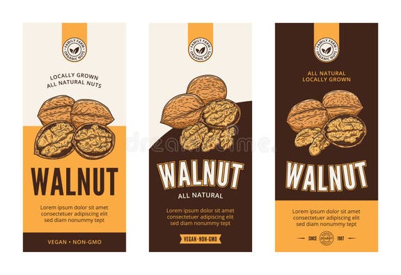 Walnut Labels in Modern Style Stock Vector - Illustration of branding ...
