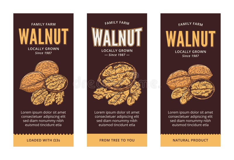 Walnut Labels in Modern Style Stock Illustration - Illustration of ...