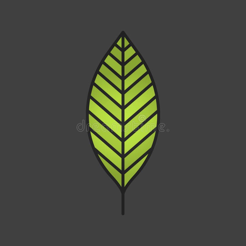 Walnut leaf color icon stock vector. Illustration of ecology - 167722154