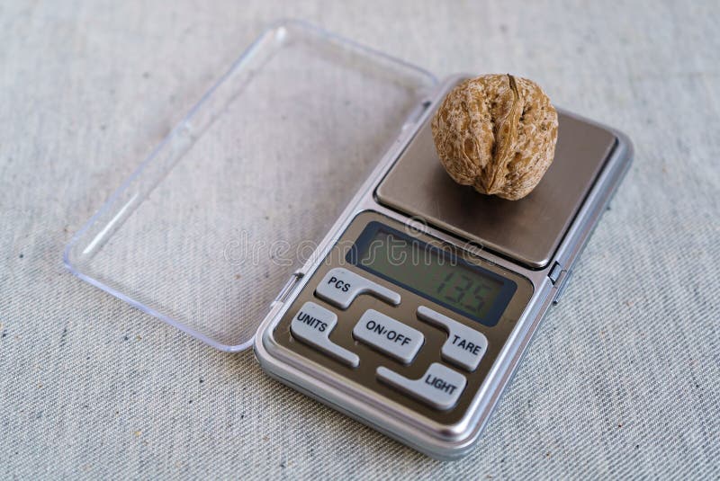 Walnut lies on the scales stock photo. Image of measuring - 267473608