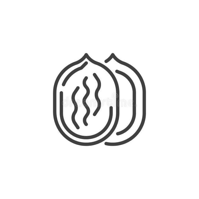 Walnut line icon stock vector. Illustration of pictogram - 240820532