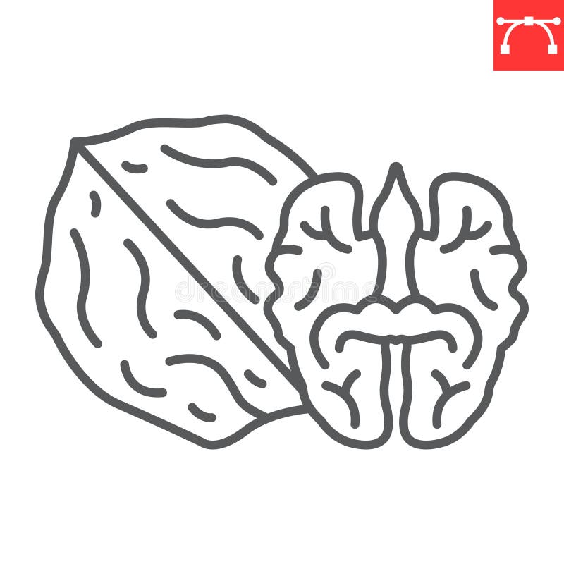 Walnut Line Drawing Stock Illustrations – 1,009 Walnut Line Drawing ...