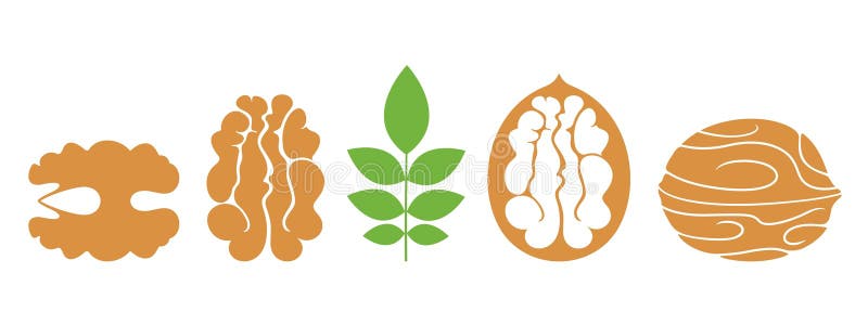 Walnut Logo Stock Illustrations – 2,932 Walnut Logo Stock Illustrations ...