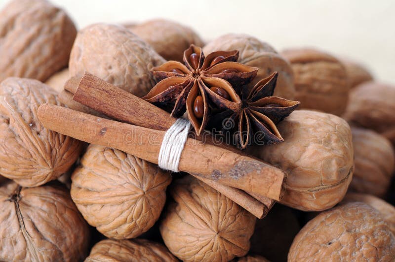 Walnut stock photo. Image of crunch, fruit, food, cinnamon - 39636672