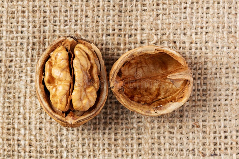 Walnut Macro Shot. Texture Shell. Rural Style Stock Photo - Image of ...
