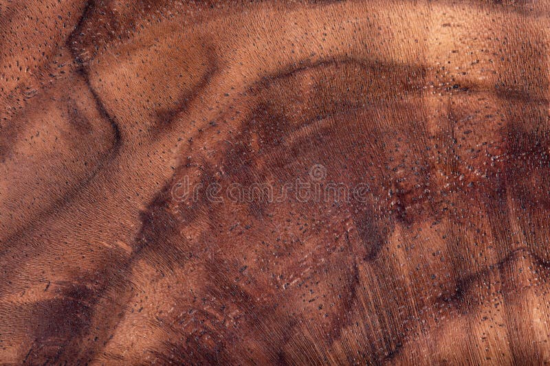 Walnut Natural Wood Texture Stock Photo - Image of design, vintage ...
