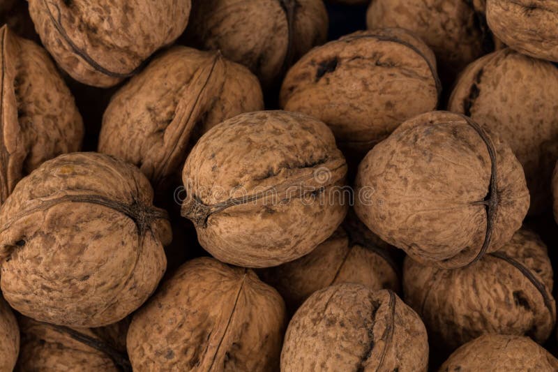 Walnut nut closeup stock image. Image of ingredient - 270444433