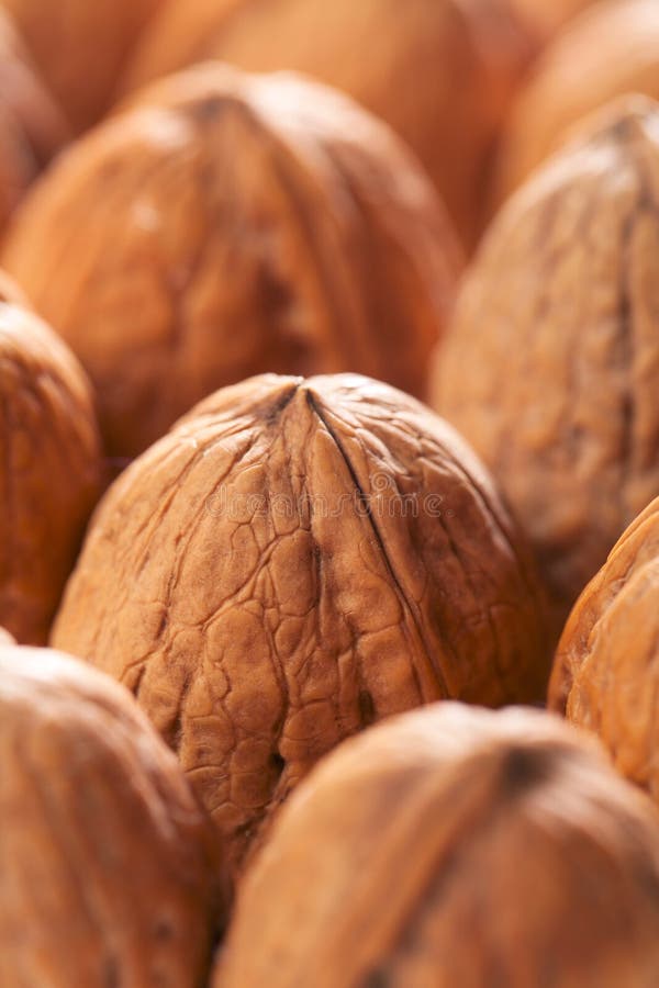 Walnut Nuts Background,full Frame Stock Photo - Image of full, nutshell ...