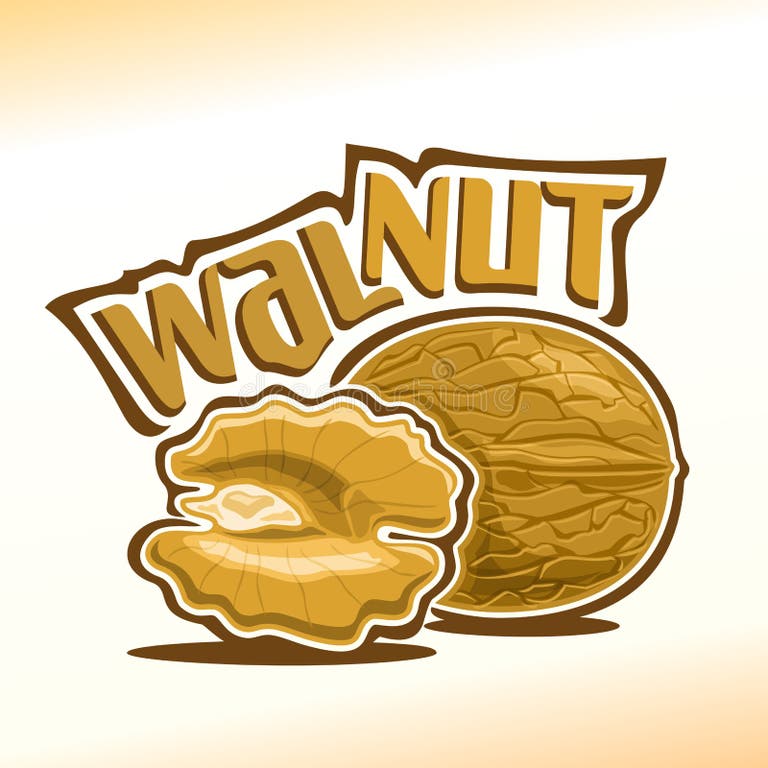 Walnut Logo Stock Illustrations – 2,932 Walnut Logo Stock Illustrations ...