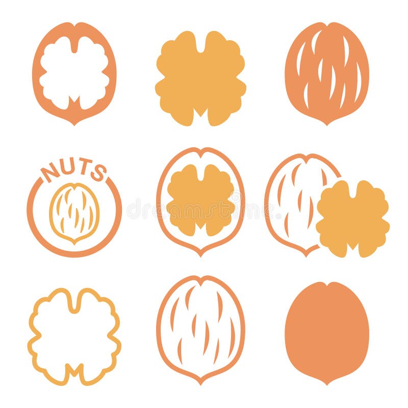 Walnut, nutshell icons set stock illustration. Illustration of color ...