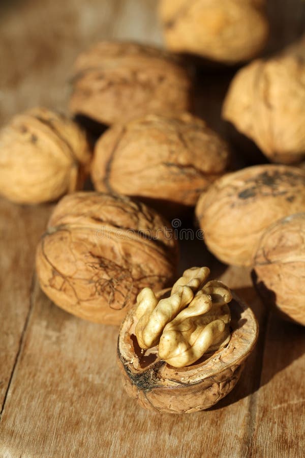 Walnut stock photo. Image of fruit, walnuts, septembre - 45213796