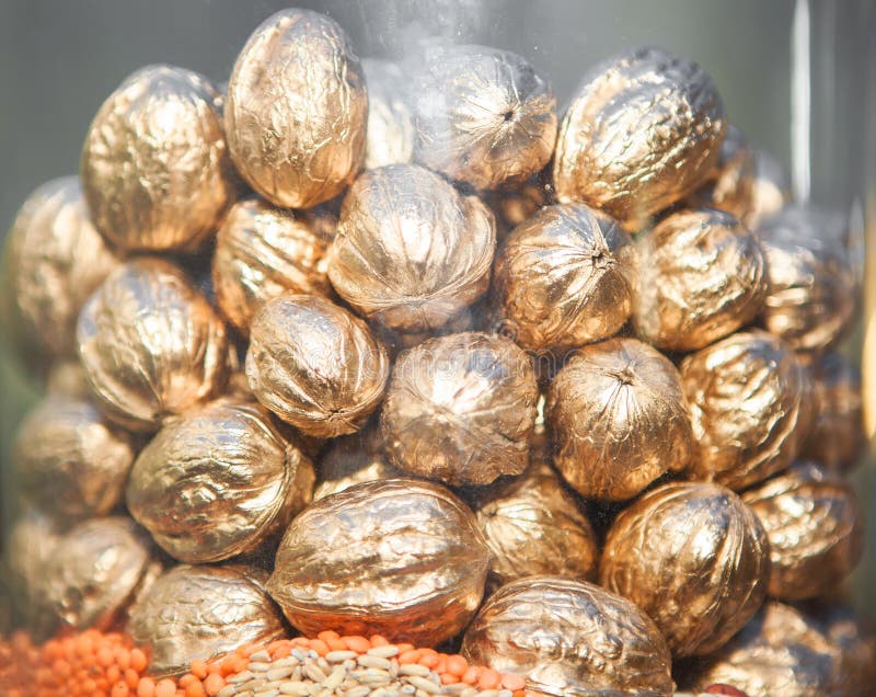 Golden christmas nuts stock image. Image of eating, celebration - 104751015