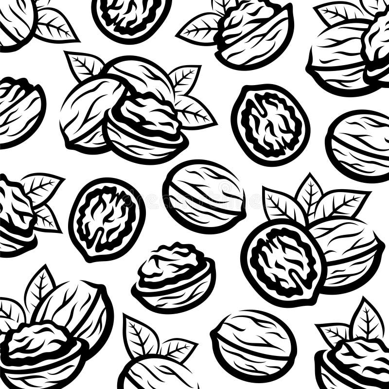 Walnut Pattern Background Set. Collection Icon Walnut Stock ...