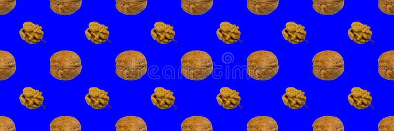 Walnut Pattern and Kernel on Blue Stock Image - Image of package, blue ...
