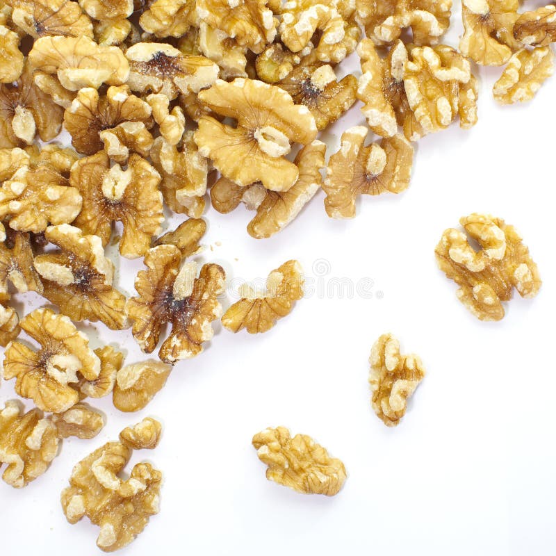 Walnut stock image. Image of cook, group, foodstuff, isolated - 32884111