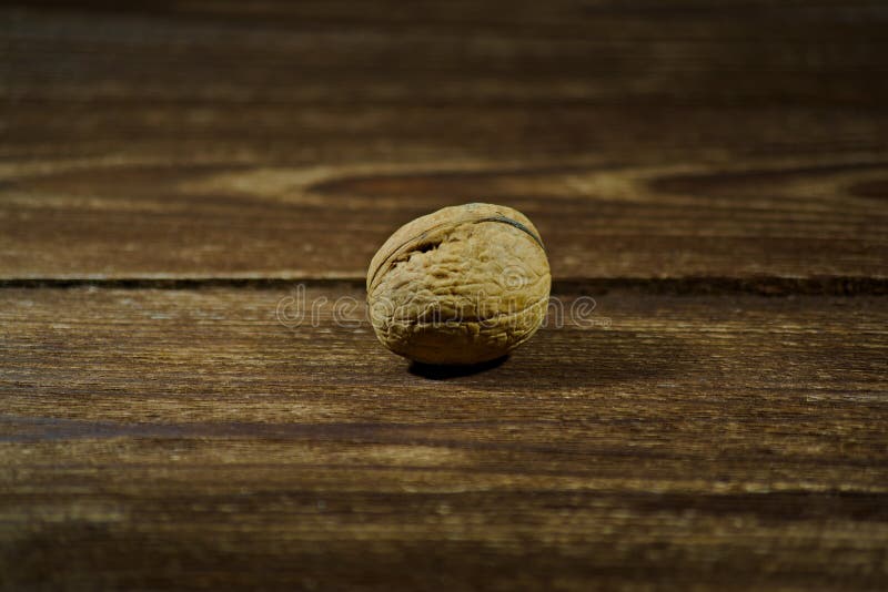 Walnut. stock photo. Image of brown, substrate, plank - 62607440