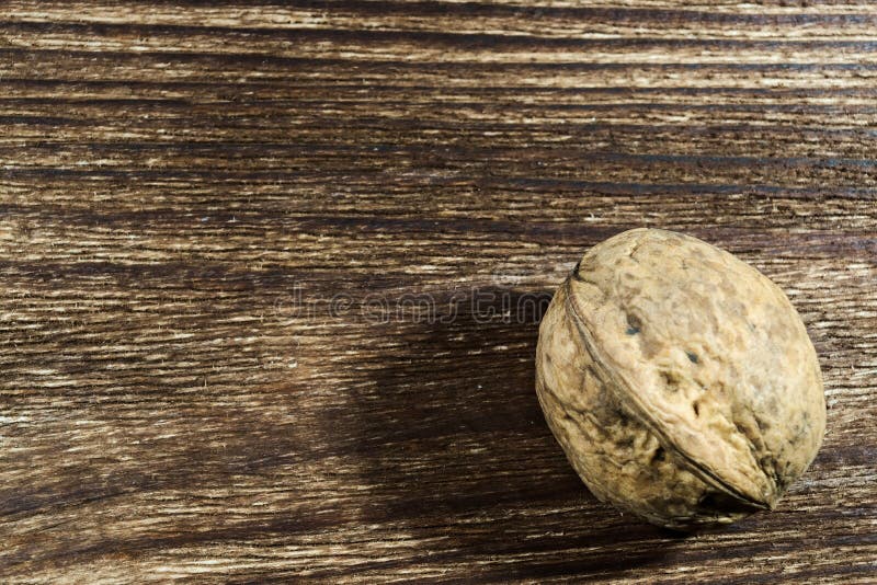 Walnut. stock photo. Image of rough, hard, coarse, ground - 62607524