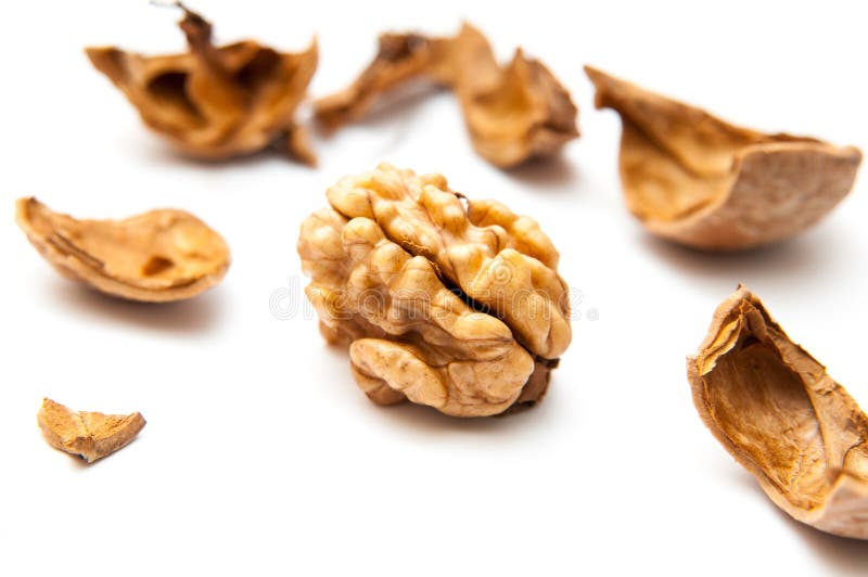 Walnut and pieces stock image. Image of white, fresh - 60044131
