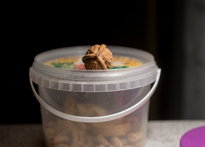 Walnut Placed on Transparent Plastic Container Filled with Assorted ...