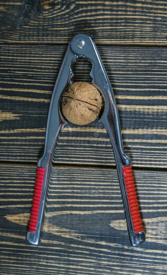 Walnut in a Plate and Nut Cracker Stock Image - Image of nutcracker ...