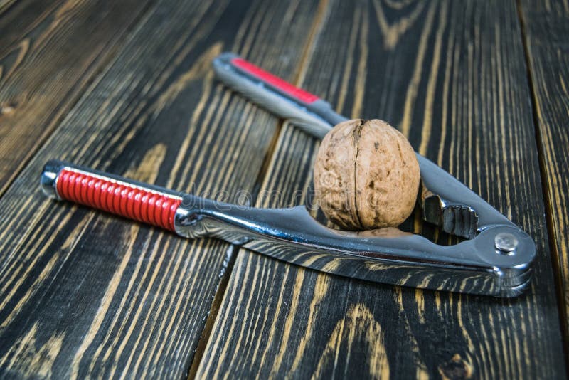 Walnut in a Plate and Nut Cracker Stock Image - Image of brown, metal ...