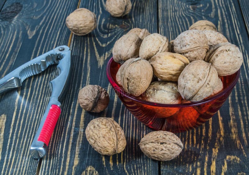Walnut cracker stock photo. Image of food, chrome, snack - 15416760