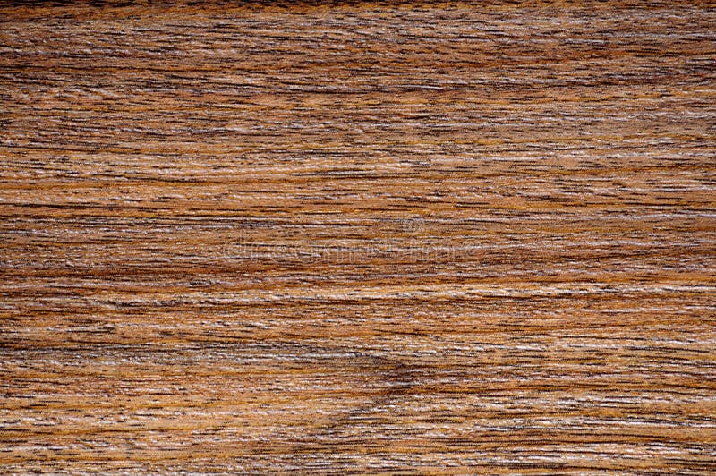 Striped Walnut, Natural Wood, Texture of a Drawing on a Slice Closeup ...