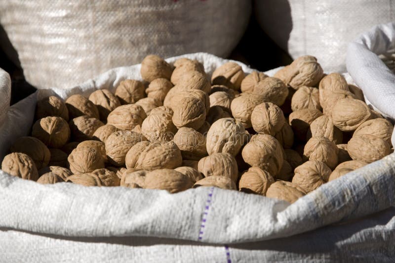 Walnut in a sack stock image. Image of market, agronomy - 12510393